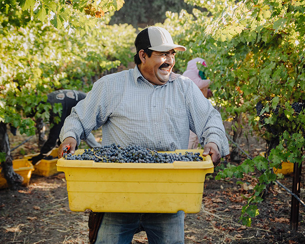 Winemaking Philosophy — Jada Vineyard & Winery